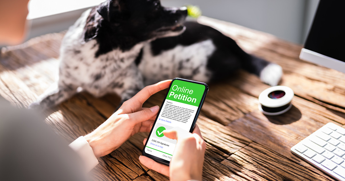 5 tips on advocacy communication: Tips on staying in touch with your ...